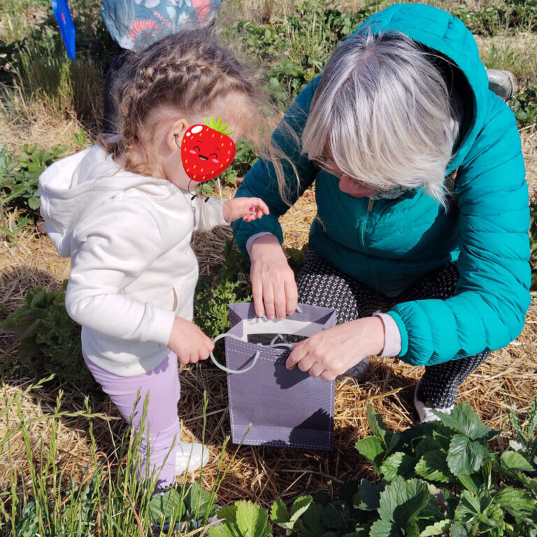 Cueillette en famille à la crèche Le Chat perché - Crescendo